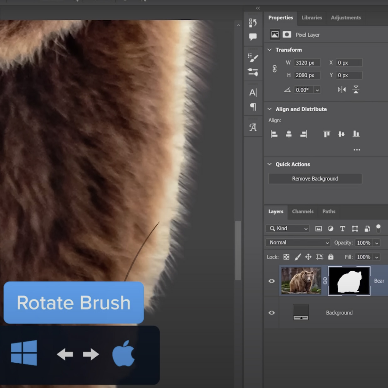Creating a Brush for Masking “Furry Things” – vividvista